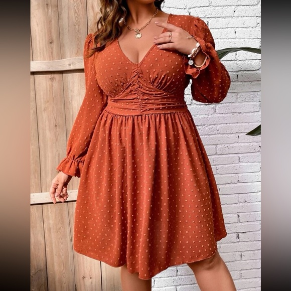 Dresses | Plus Size Rust Brown Swiss Dot Dress | Poshmark